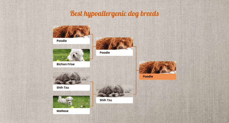 Online Bracket maker with Images